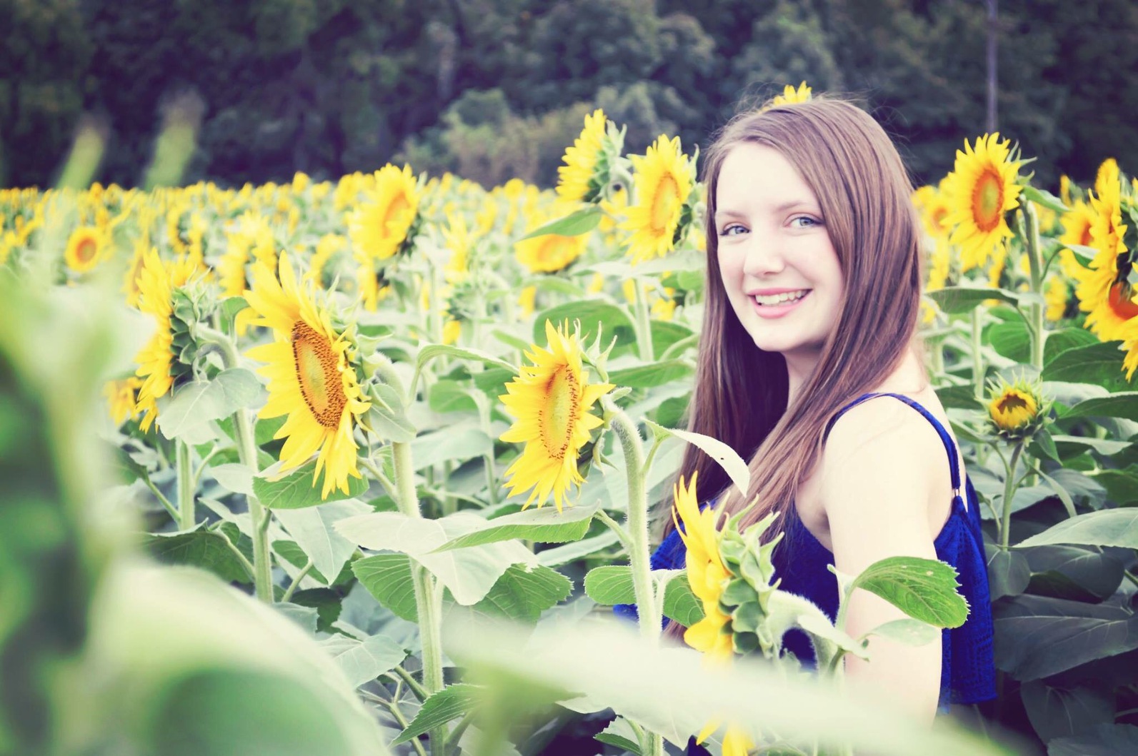 2017 Distinguished Performance finalists | News, Sports, Jobs ...